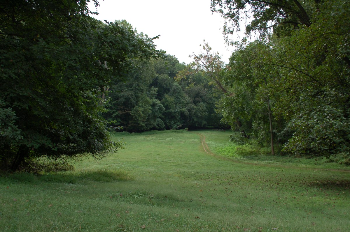 History: Glover Archbold National Park | TheHoe.org